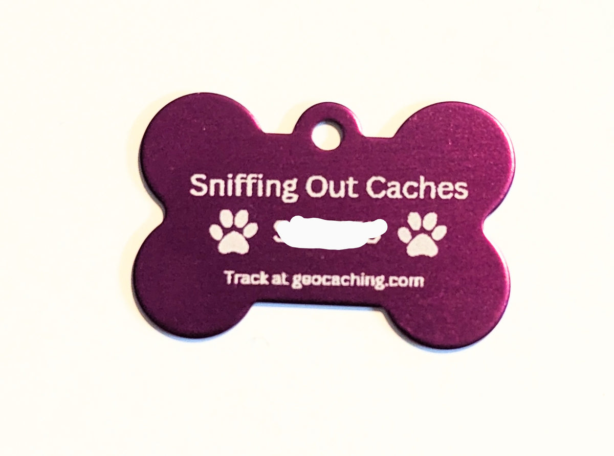 Trackable dog bone – Space Coast Geo Store